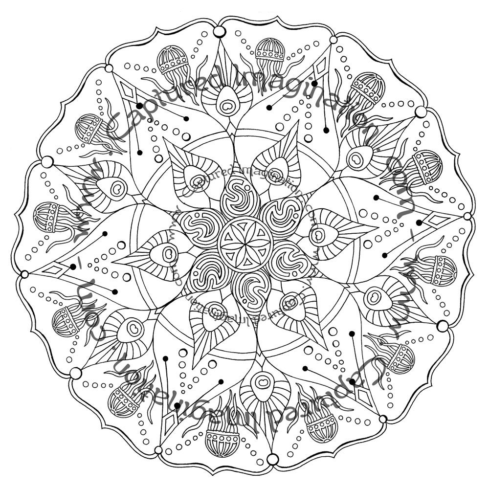 String Cheese Incident - DIY Coloring Poster - Instant Download - Etsy