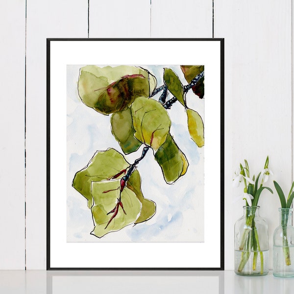 Sea Grape Tree - Etsy