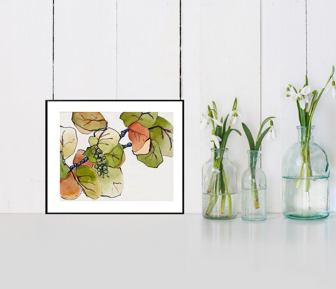 Seagrape No. 22 . Giclee Art Print - Etsy
