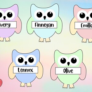 Pastel Owl Cubby Name Tags, Personalized Desk Name Plates, School Name ...