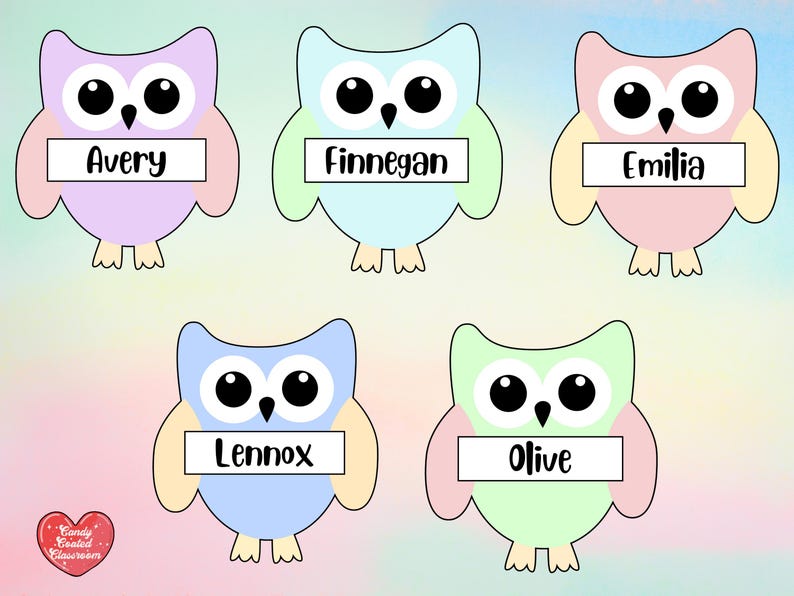 Pastel Owl Cubby Name Tags, Personalized Desk Name Plates, School Name ...