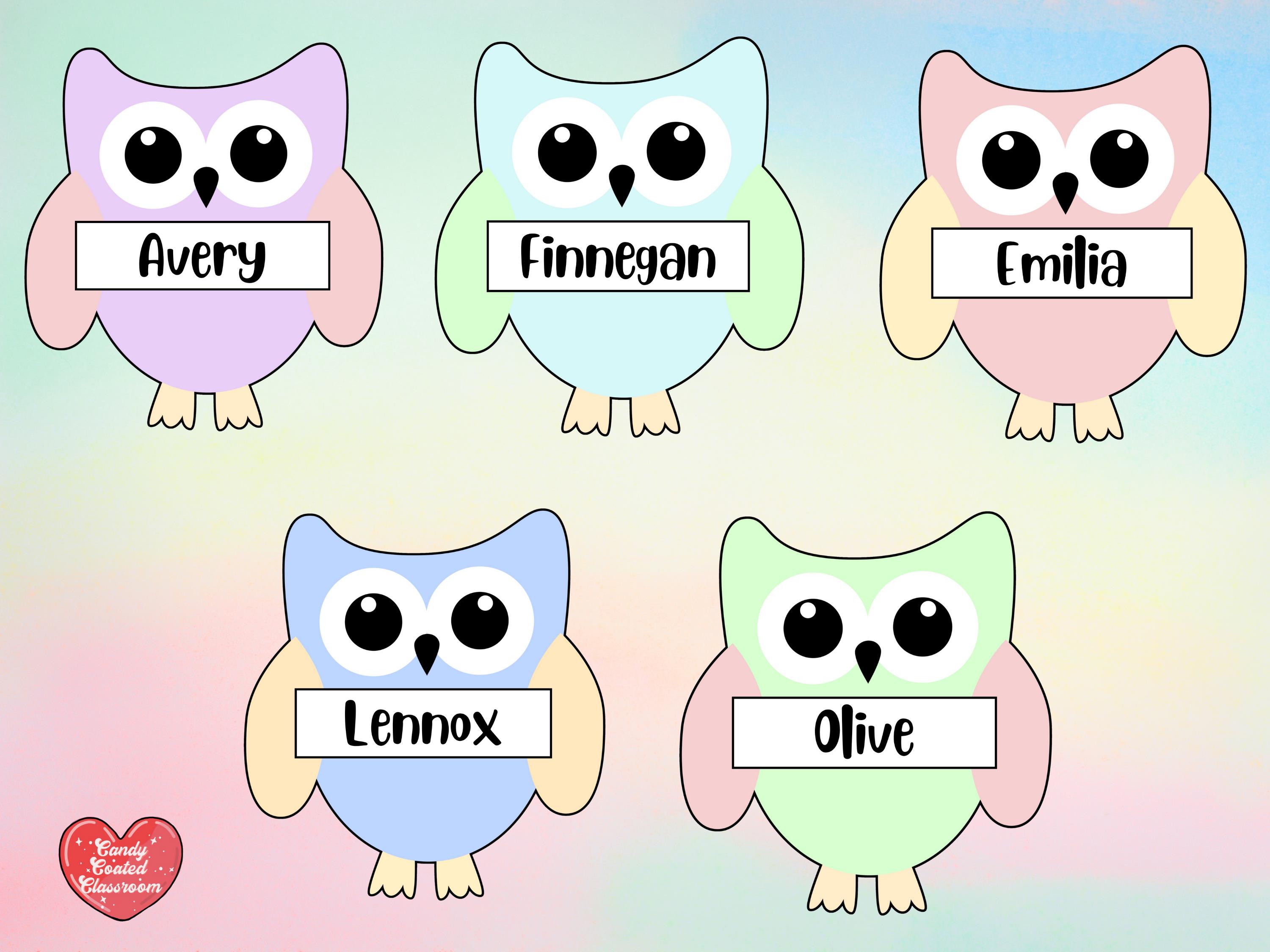Pastel Owl Cubby Name Tags, Personalized Desk Name Plates, School Name ...