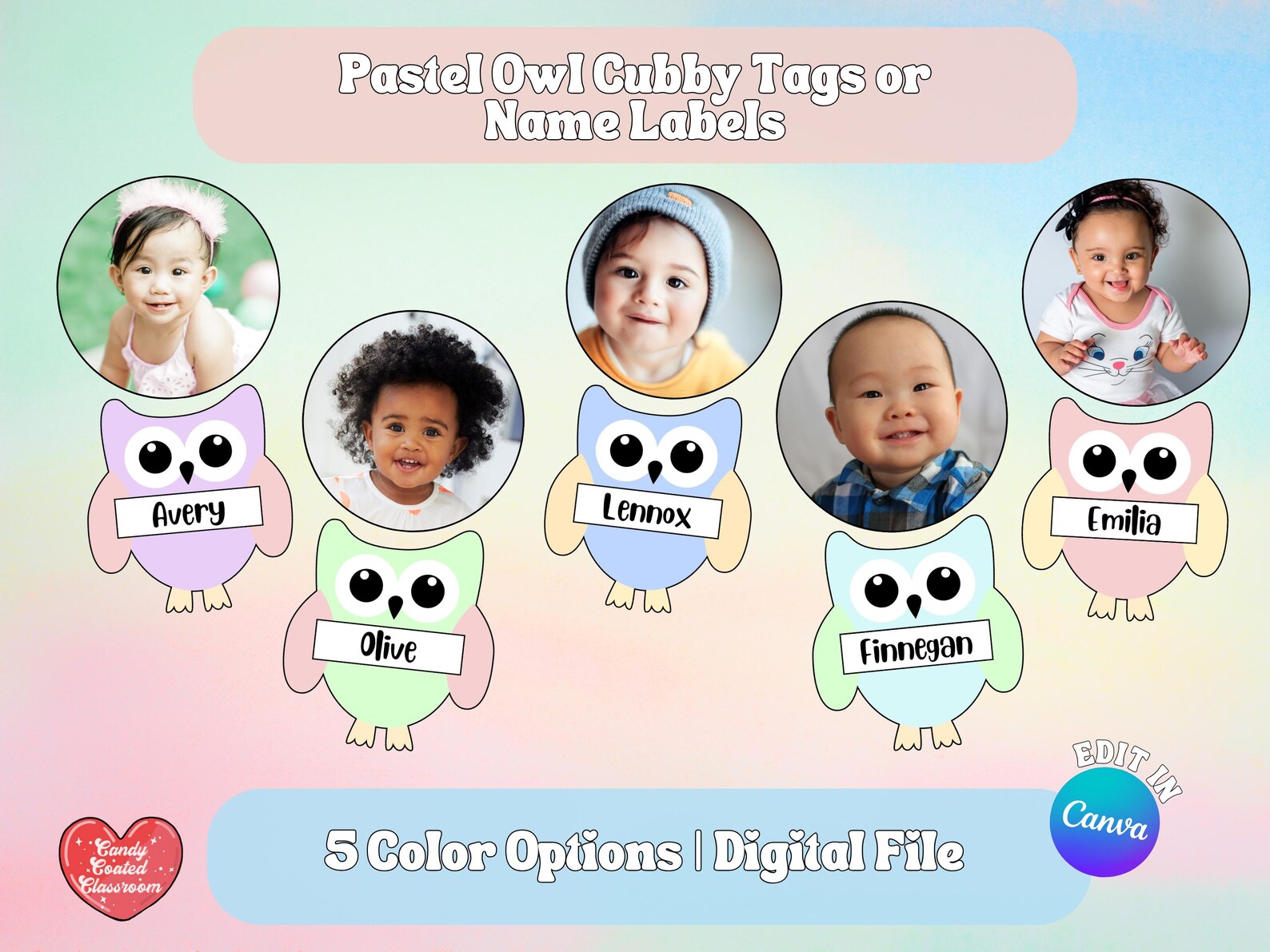 Pastel Owl Cubby Name Tags, Personalized Desk Name Plates, School Name ...