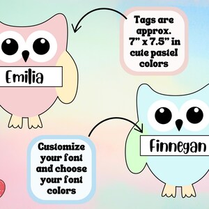 Pastel Owl Cubby Name Tags, Personalized Desk Name Plates, School Name ...