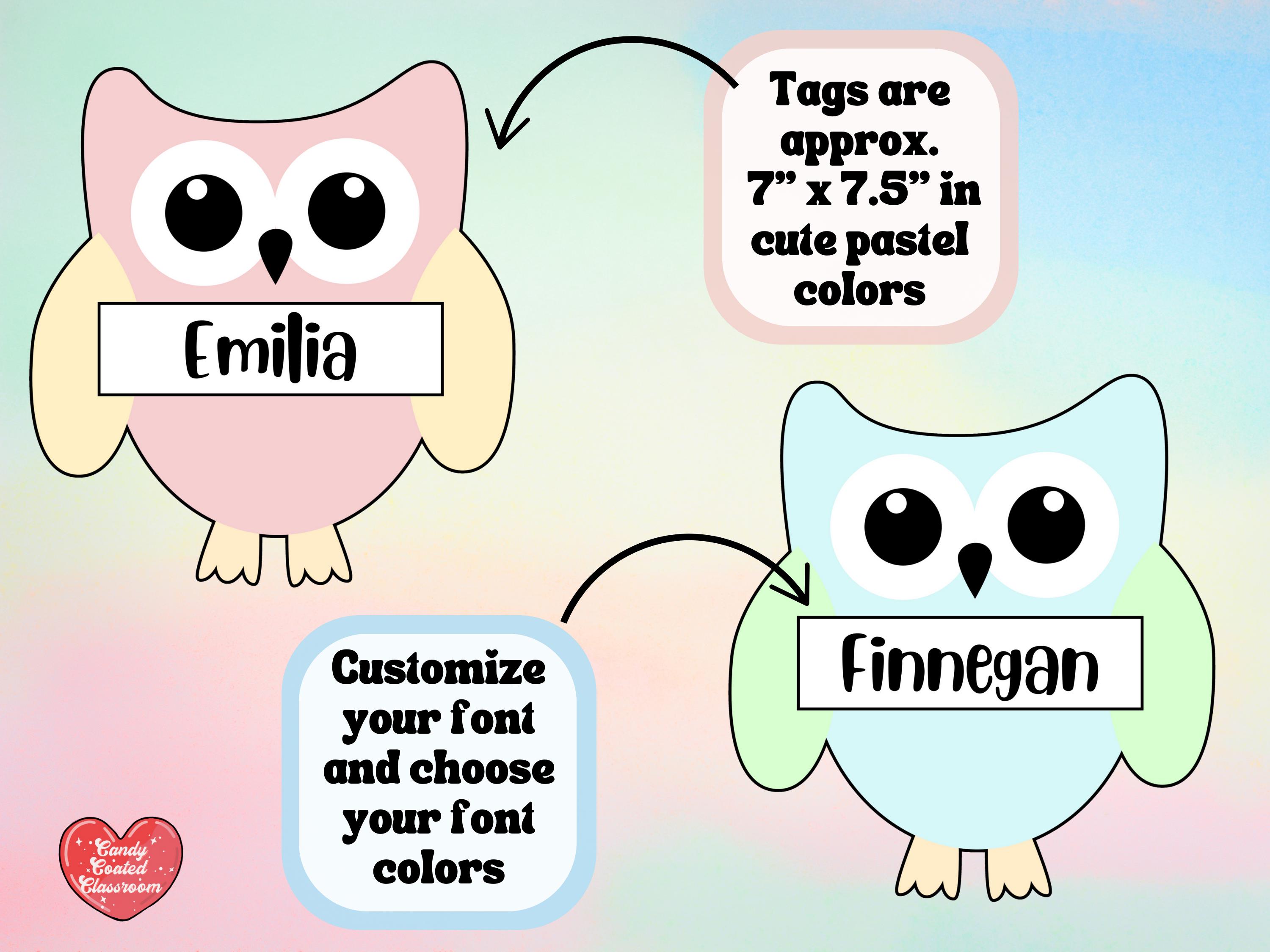 Pastel Owl Cubby Name Tags, Personalized Desk Name Plates, School Name ...