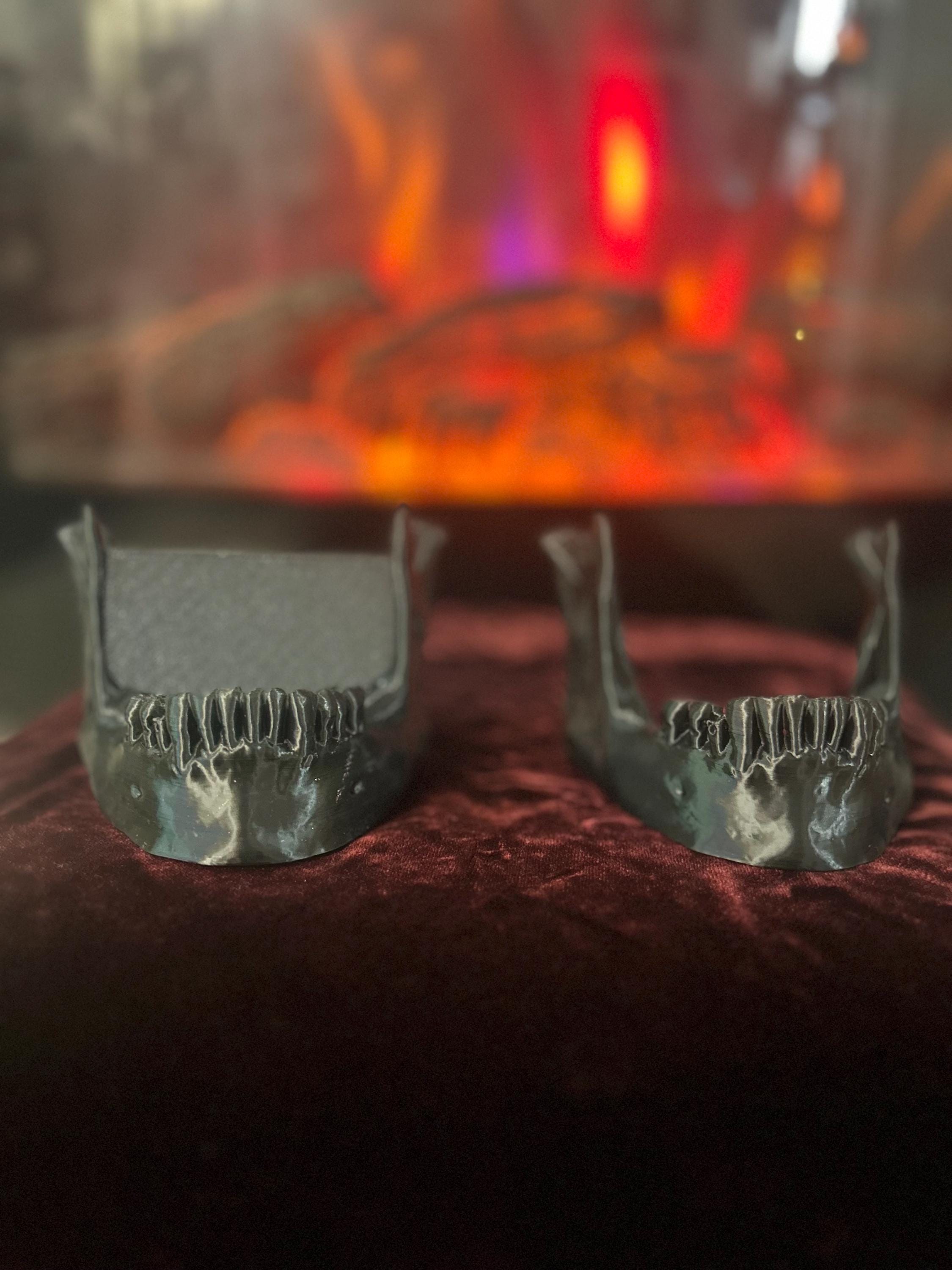 3d Printed Human Jaw Phone Stand!! - Etsy