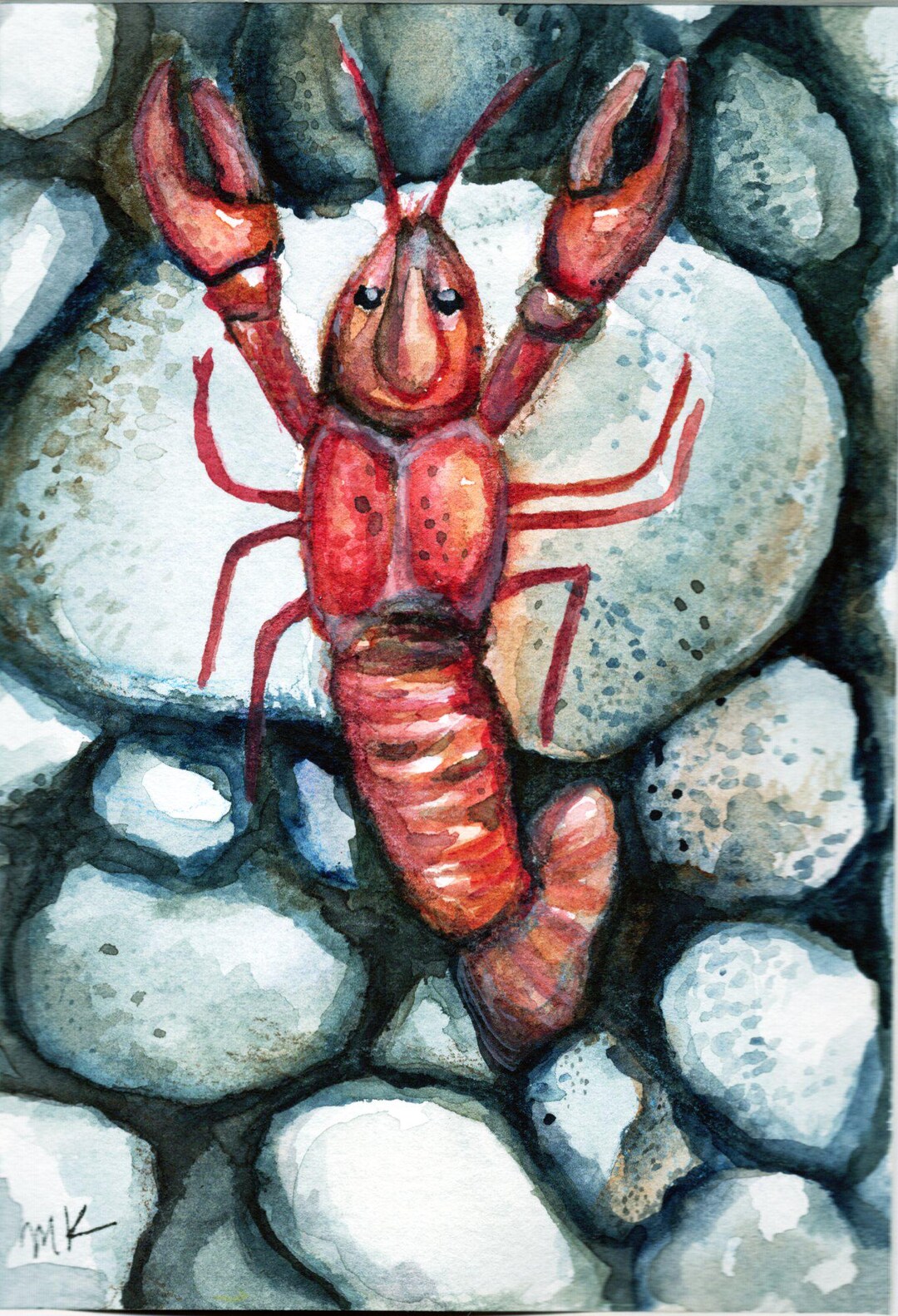 Crayfish Watercolor Art - Etsy