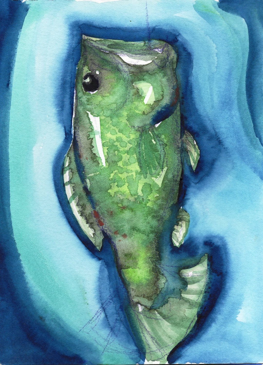 Bass Fish Print - Etsy