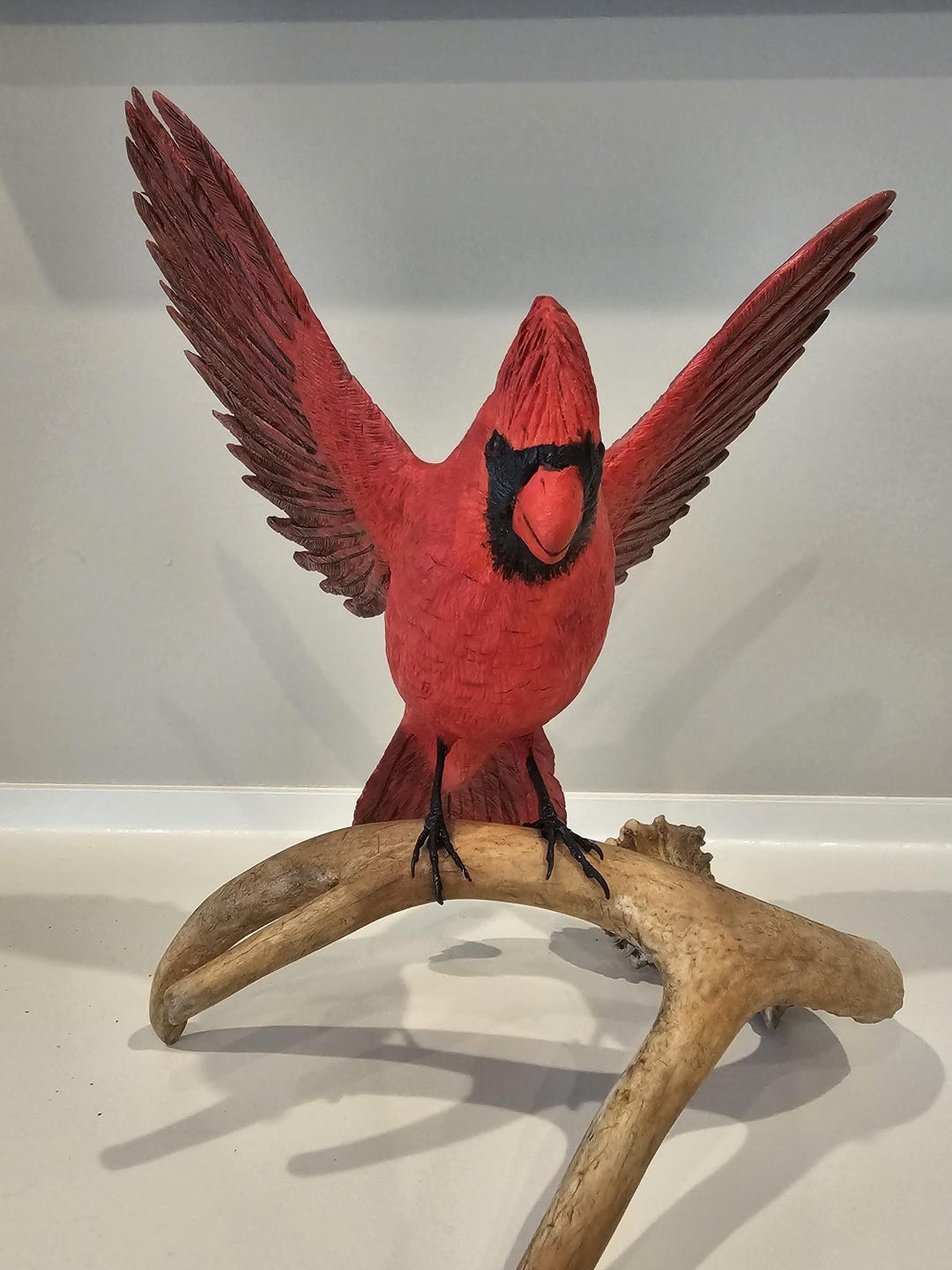 Cardinal Taking off With Wings Out - Etsy