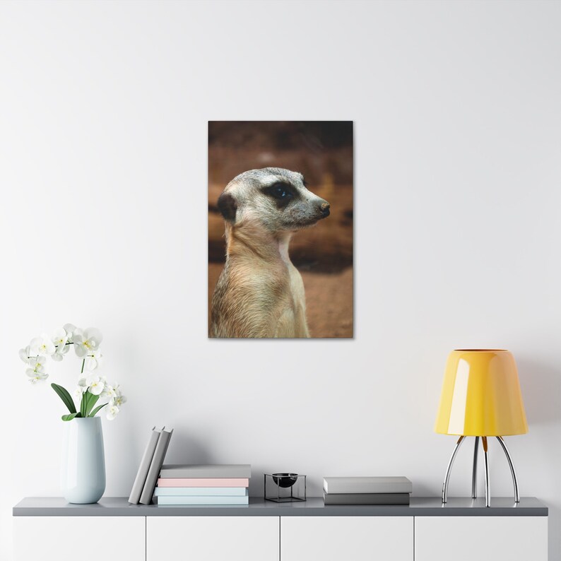 Meerkat Gallery Canvas - Etsy
