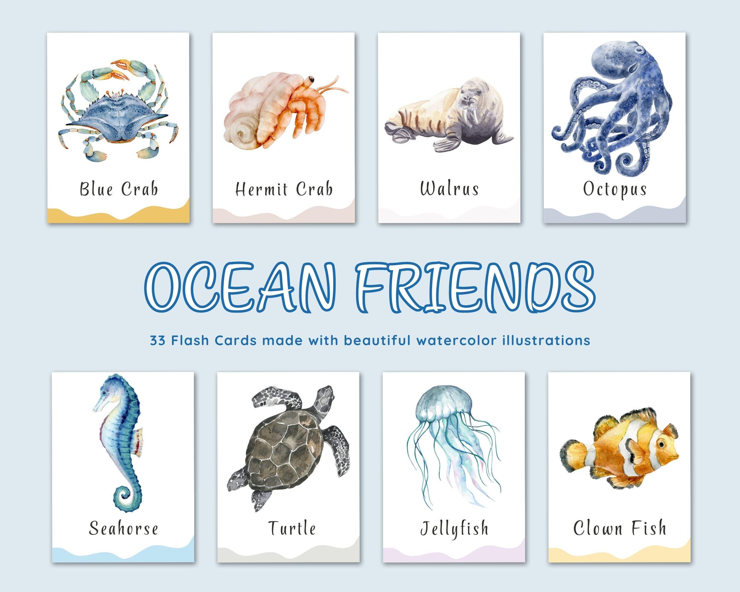 Ocean Friends Flash Cards - Explore the Ocean With 33 Captivating 5x7 ...