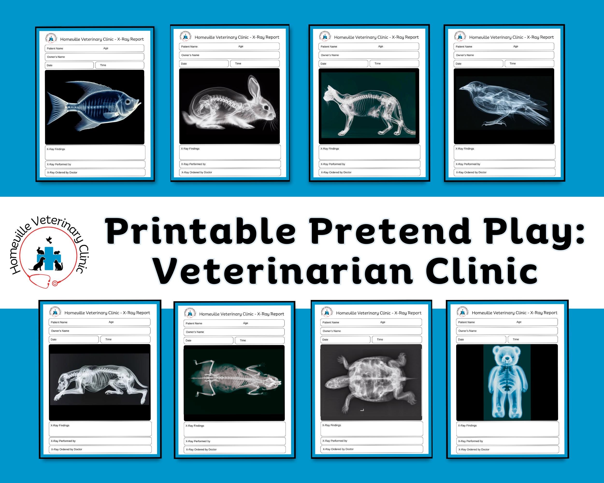 Printable Pretend Play Set: Veterinarian Clinic - Etsy
