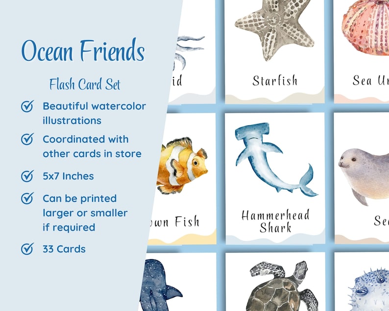 Ocean Friends Flash Cards - Explore the Ocean With 33 Captivating 5x7 ...
