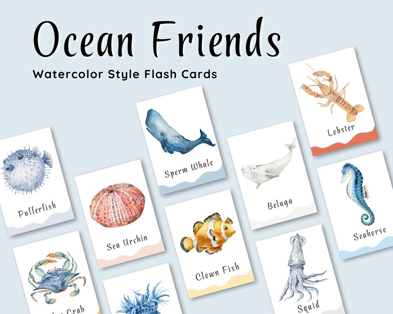 Ocean Friends Flash Cards Explore the Ocean With 33 Captivating 5x7 ...