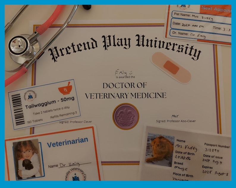 Printable Pretend Play Set: Veterinarian Clinic - Etsy