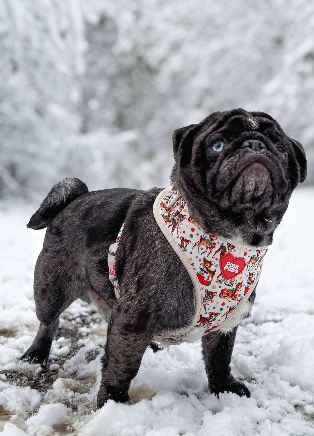 Adjustable Christmas Dog Harness, Retro Rudolph, Festive Harness for ...