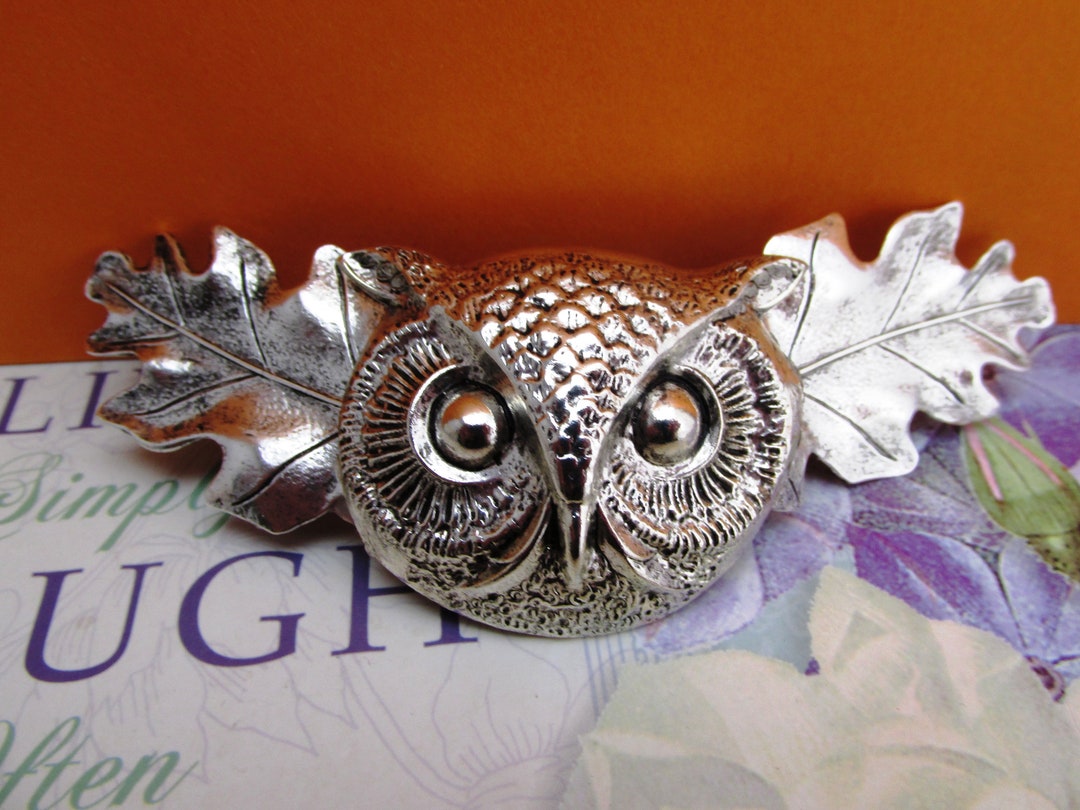 Owl Hair Clip Bird Hair Barrette Owls Hair Clips French Clips Thick ...