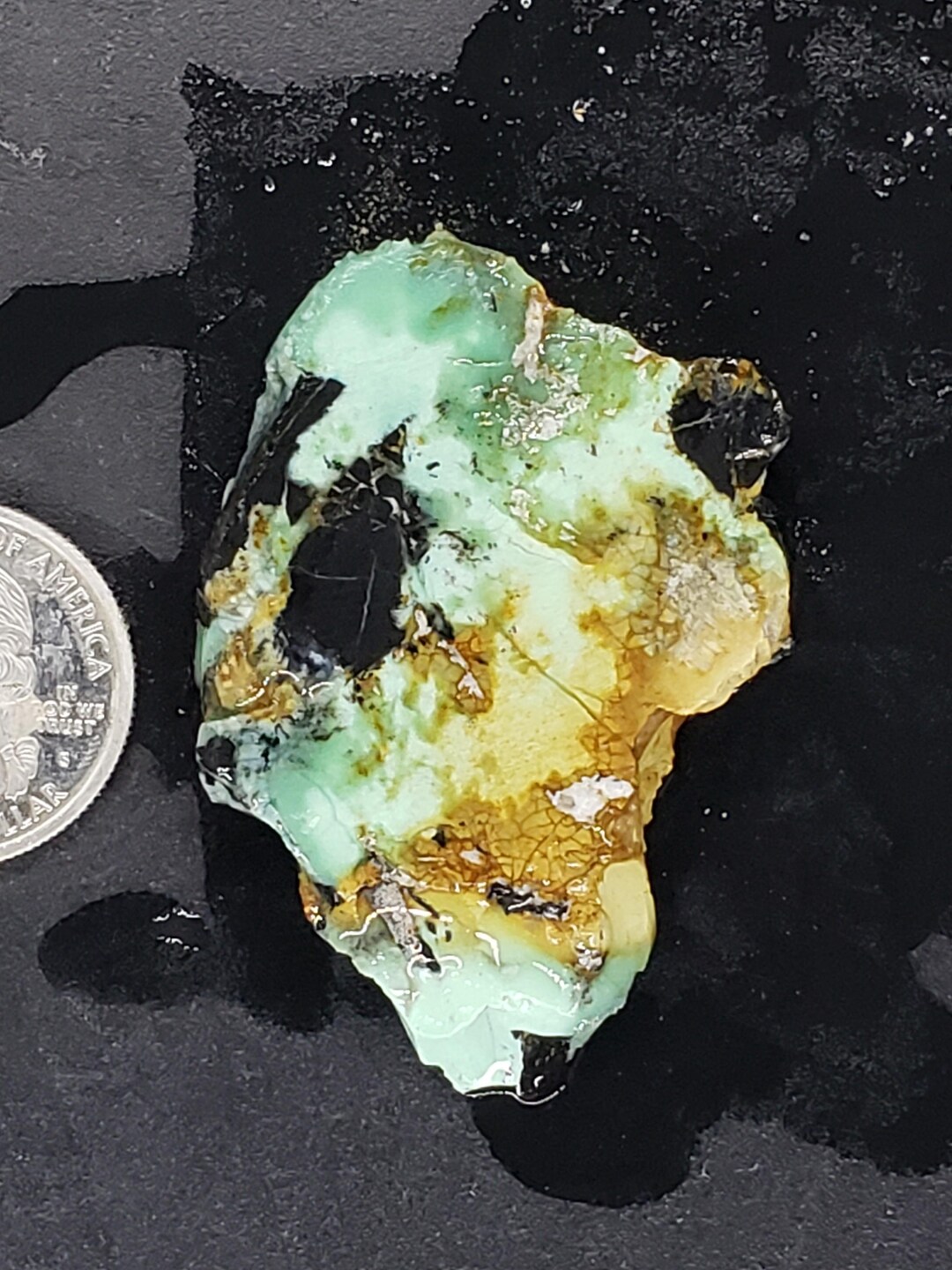 Nevada San Pedro Variscite Slab - Etsy