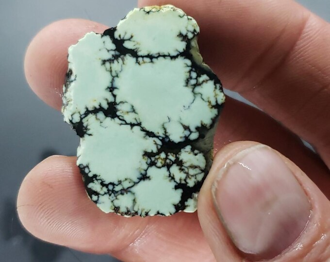 Nevada Saguaro Variscite Slab - Etsy