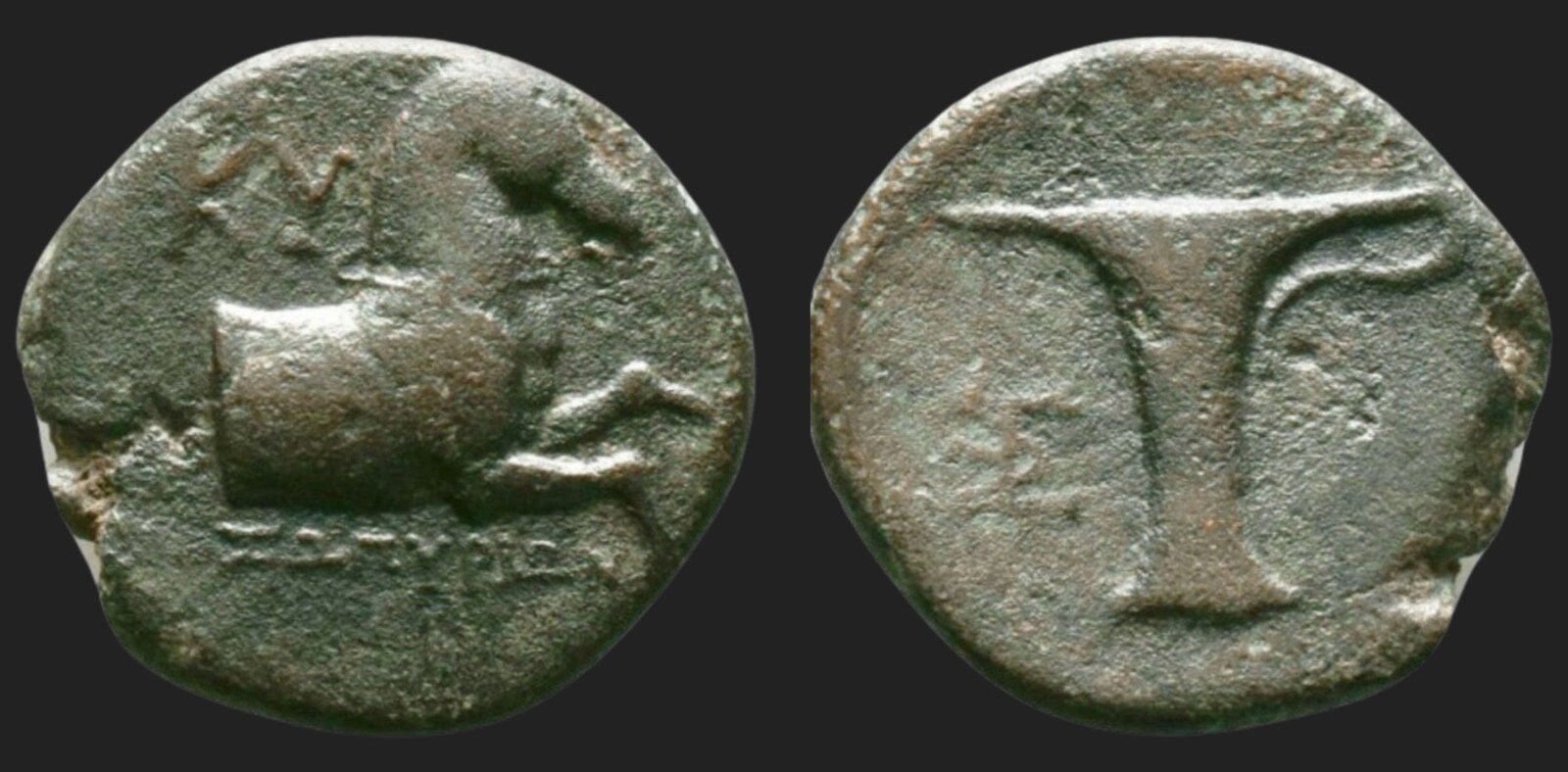 Foreparts of a Horse-ancient Bronze Coin of the City of Aeolis, Kyme ...