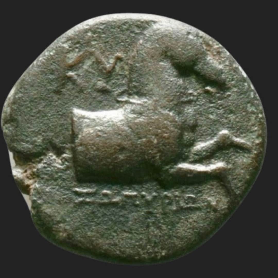 Foreparts of a Horse-ancient Bronze Coin of the City of Aeolis, Kyme ...