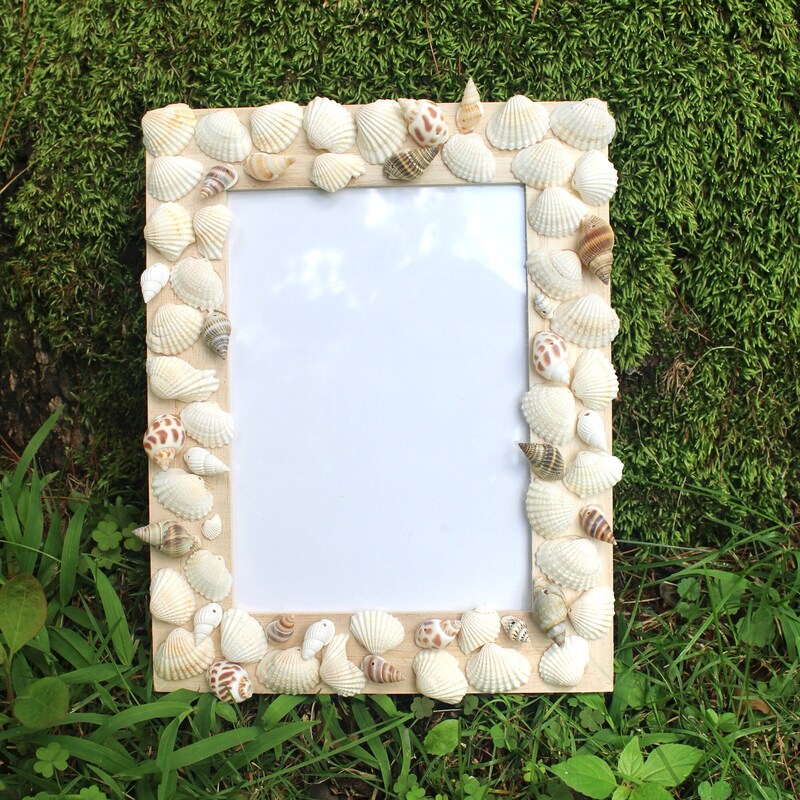 Seashell Frame - Etsy