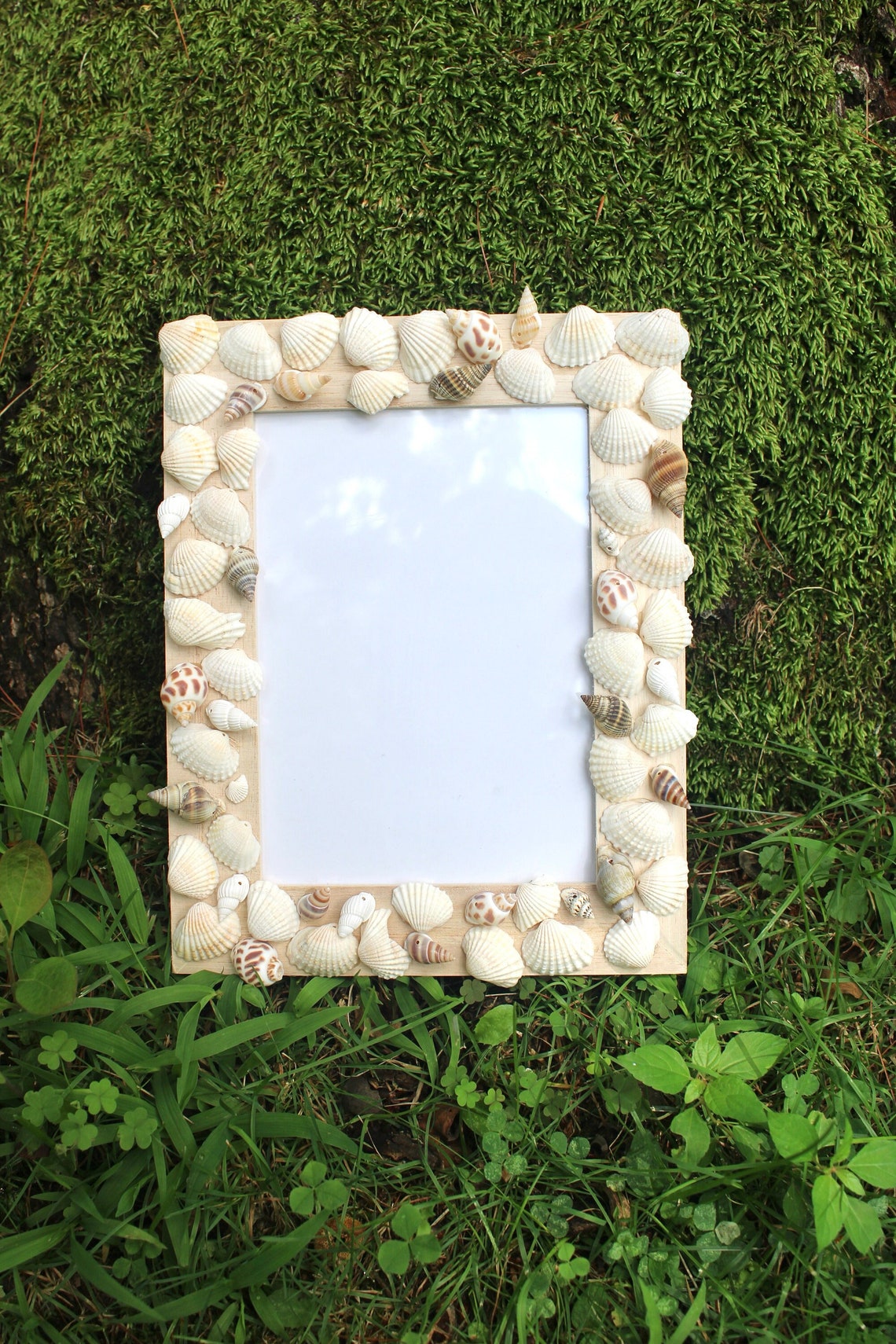 Seashell Photo Frame - Etsy