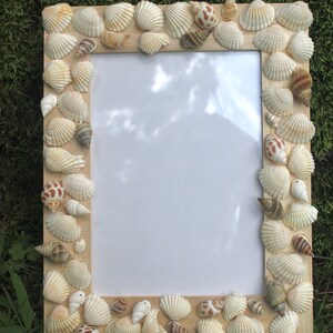 Seashell Photo Frame - Etsy