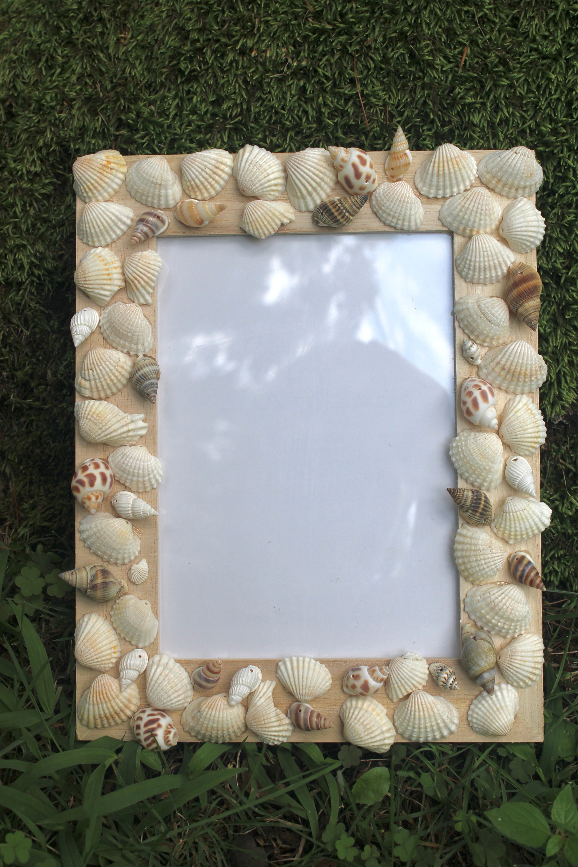 Seashell Photo Frame - Etsy