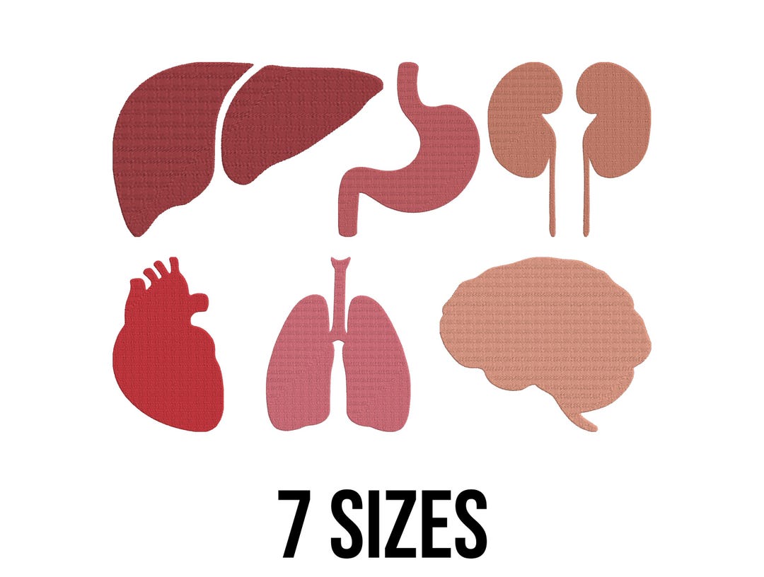 Human Organs Embroidery Design - Human Heart, Kidneys, Liver, Lungs ...