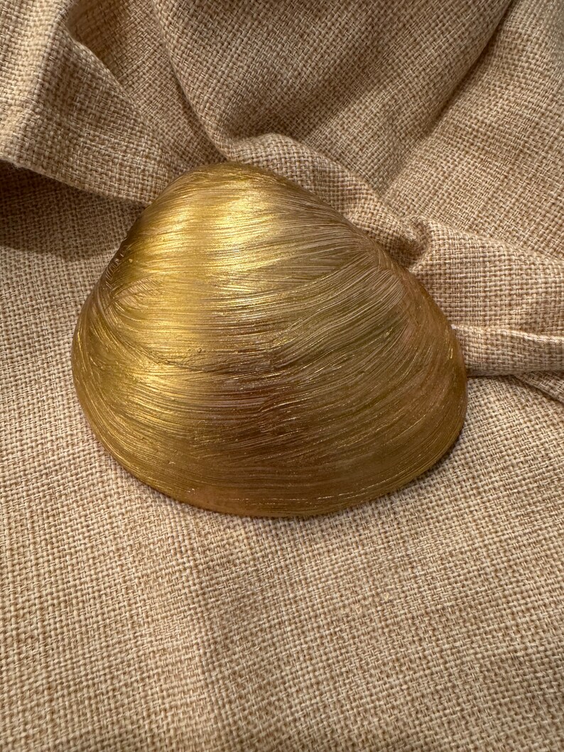 Heavy Mushroom Themed Gilded Clam Shell - Etsy