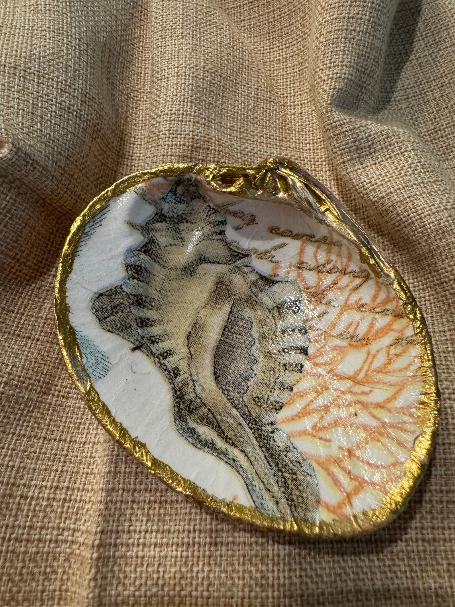 Pretty, Natural Heavy Clam Shell Trinket Holder. Gilded for an Elegant ...