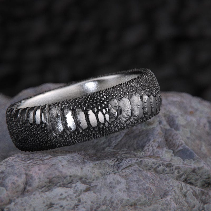 Snake Skin Jewelry - Etsy