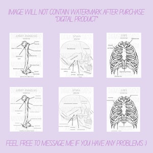 Educational Anatomy Coloring Page | Fun Anatomy Notes | College Anatomy ...