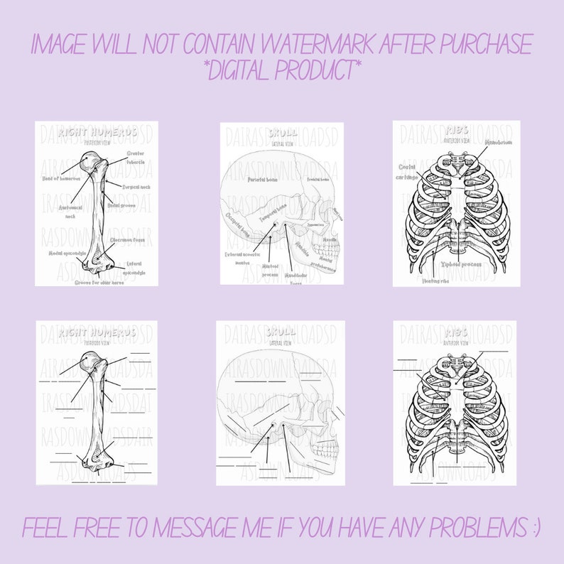 Educational Anatomy Coloring Page | Fun Anatomy Notes | College Anatomy ...