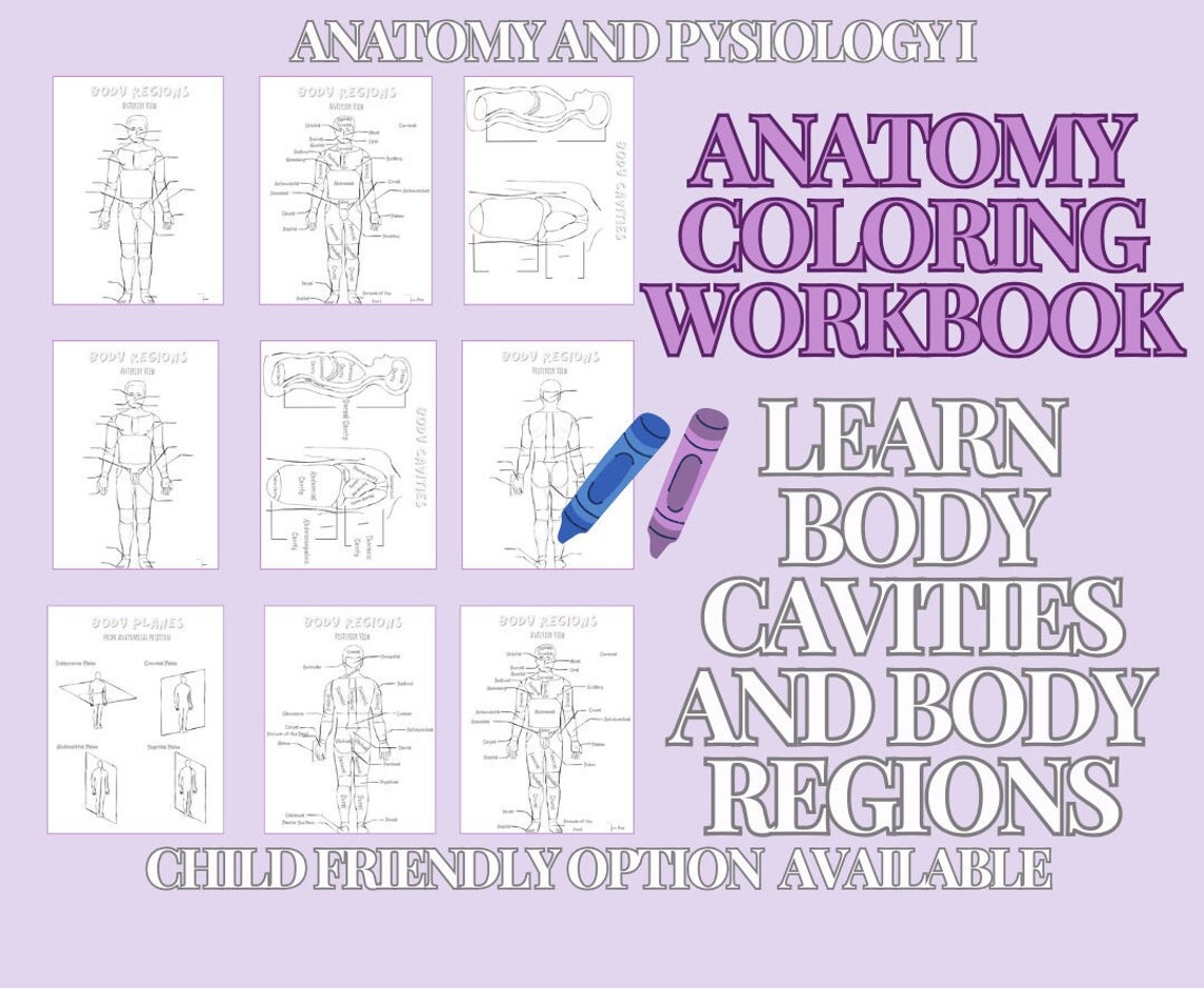 Educational Anatomy Coloring Page | Body Regions | Body Cavities | Fun ...