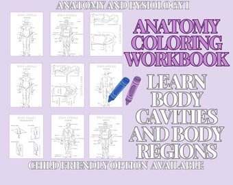 Educational Anatomy Coloring Page | Fun Anatomy Notes | College Anatomy ...