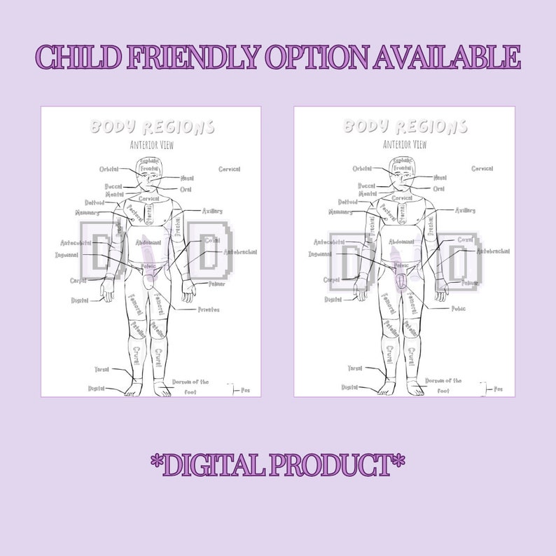 Educational Anatomy Coloring Page | Body Regions | Body Cavities | Fun ...