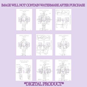 Educational Anatomy Coloring Page | Body Regions | Body Cavities | Fun ...