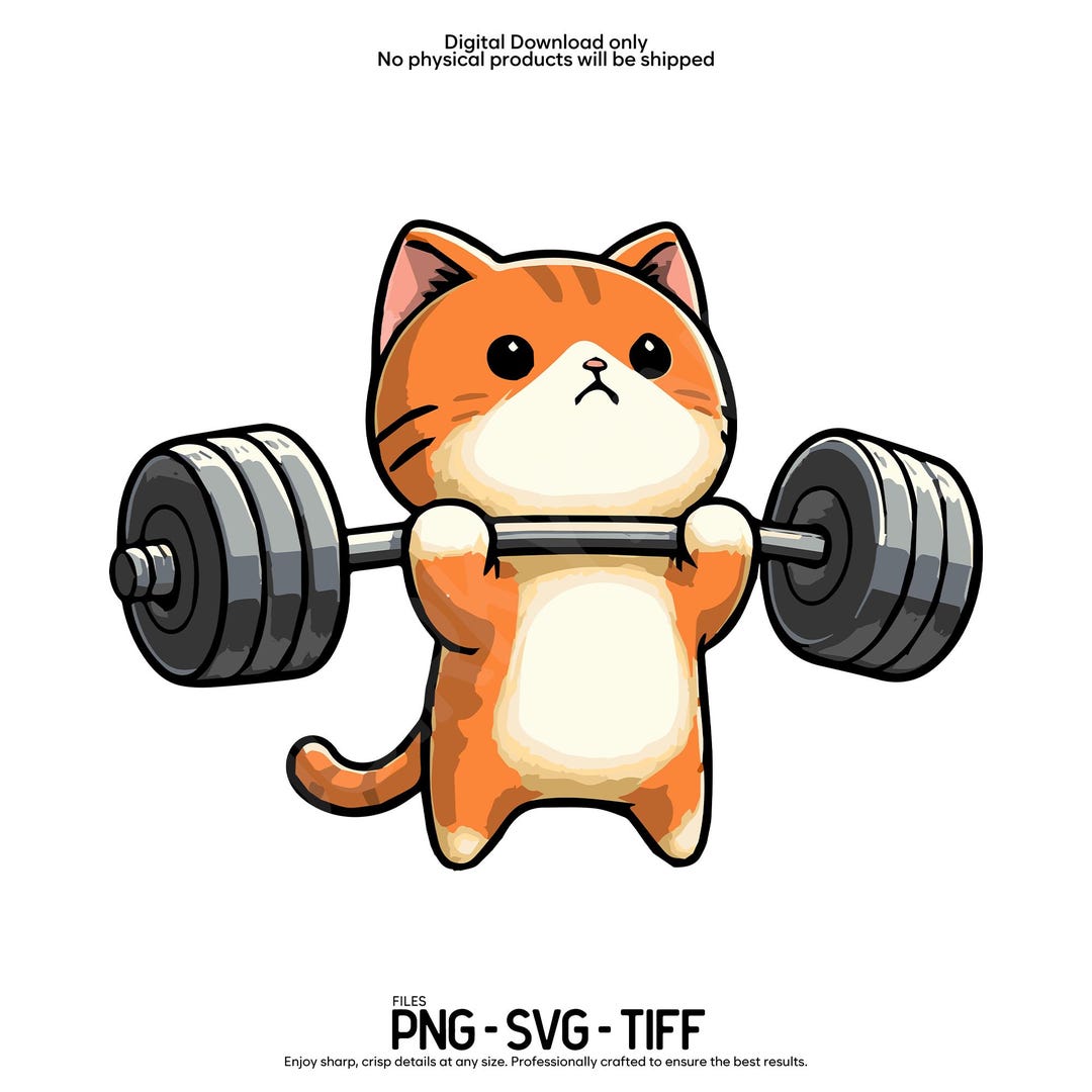 Cat Gym PNG Designs Funny Cat Shirt Png Workout Shirts Png ...