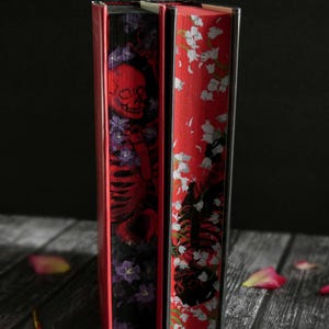 Vicious & Vengeful, Villains Series Hand Painted Book Edges / Sprayed ...