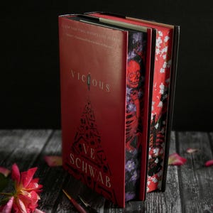 Vicious & Vengeful, Villains Series Hand Painted Book Edges / Sprayed ...