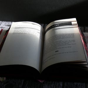 Vicious & Vengeful, Villains Series Hand Painted Book Edges / Sprayed ...