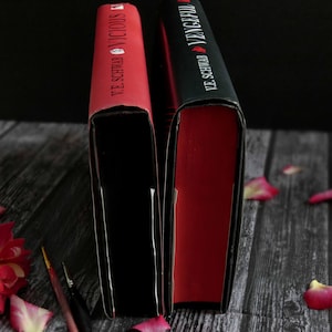 Vicious & Vengeful, Villains Series Hand Painted Book Edges / Sprayed ...
