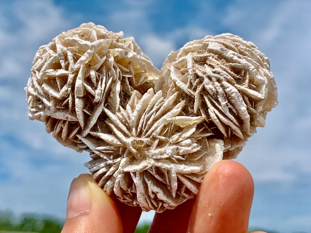 Raw Desert Rose Selenite Selenite Rose Cluster Natural Selenite Crystal ...