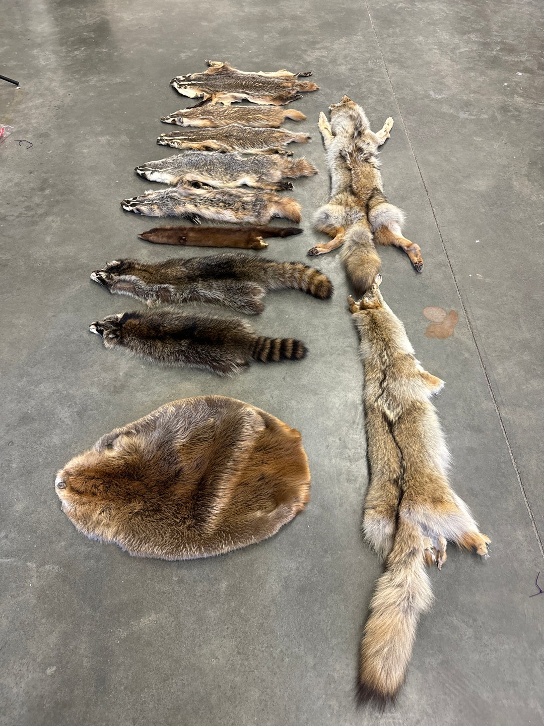 Tanned Fur Collection - Etsy