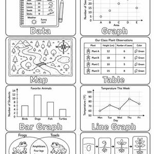 Organizing Data With Graphs and Maps G3 TEKS 3.1F Flashcards - Etsy ...