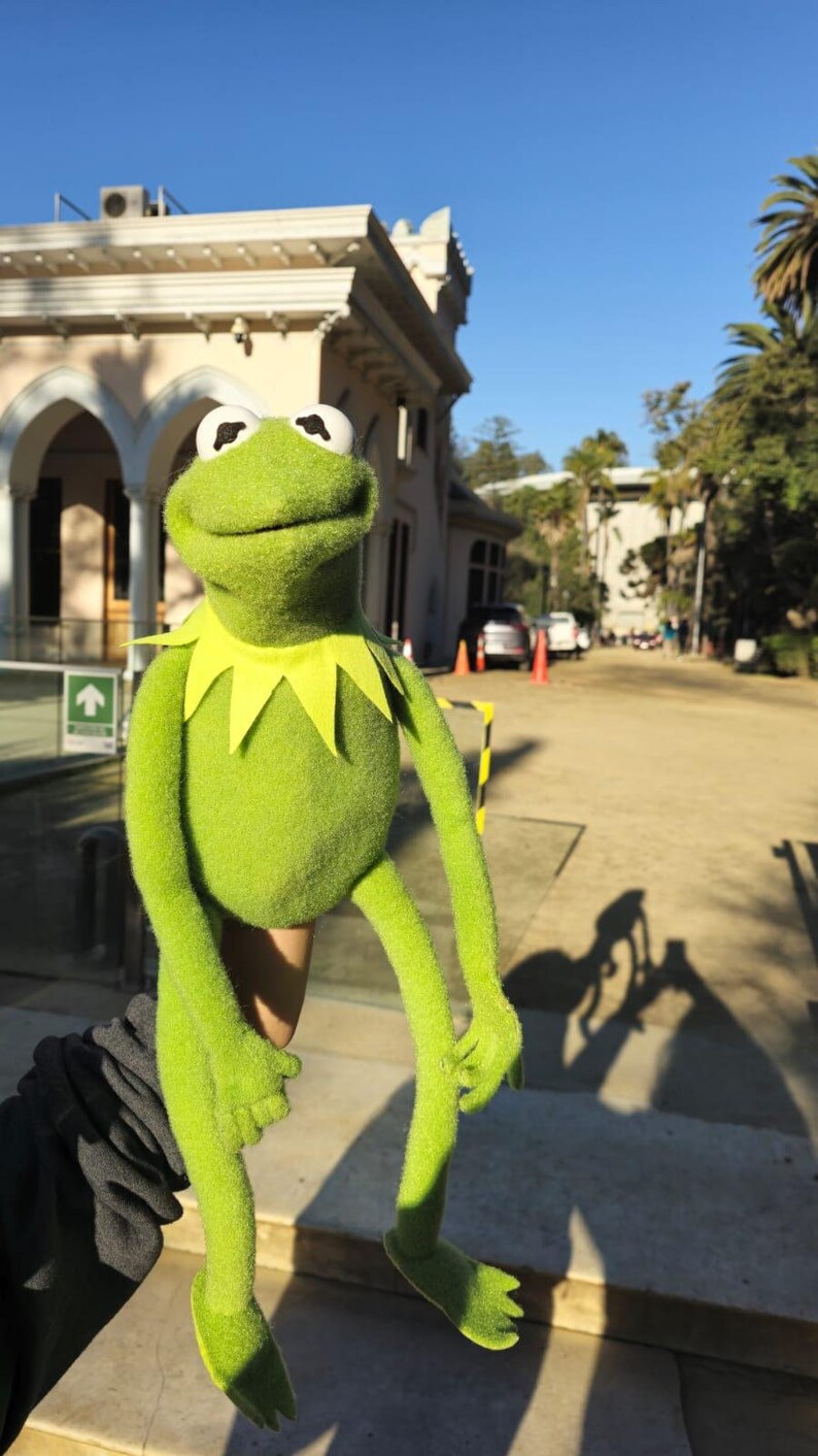 Green Frog Henson/muppet Style Puppet - Etsy UK