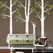 Spring Trees and Birds Vinyl Wall Decal, Birch Trees Nursery Vinyl Wall ...