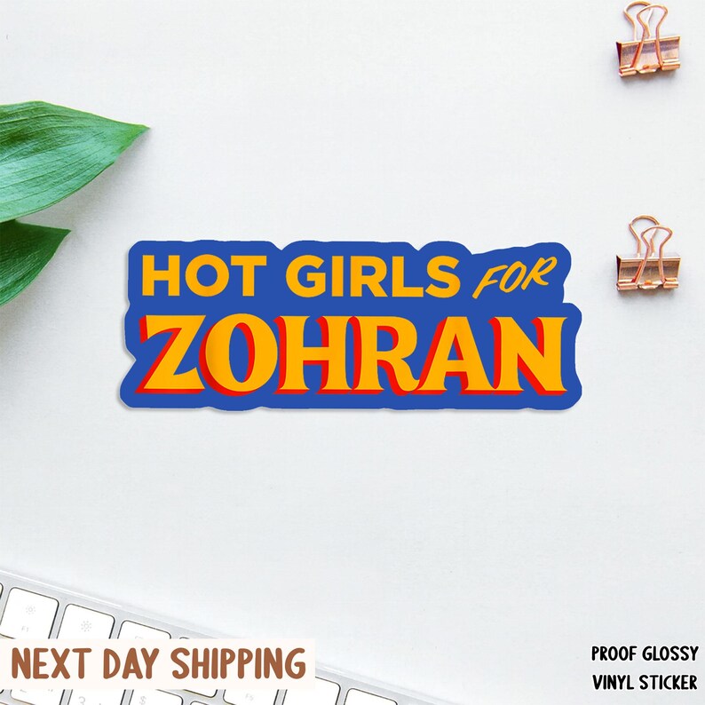 Zohran Mamdani NYC Mayor Sticker/car Magnet,2025 Campaign Decal ...